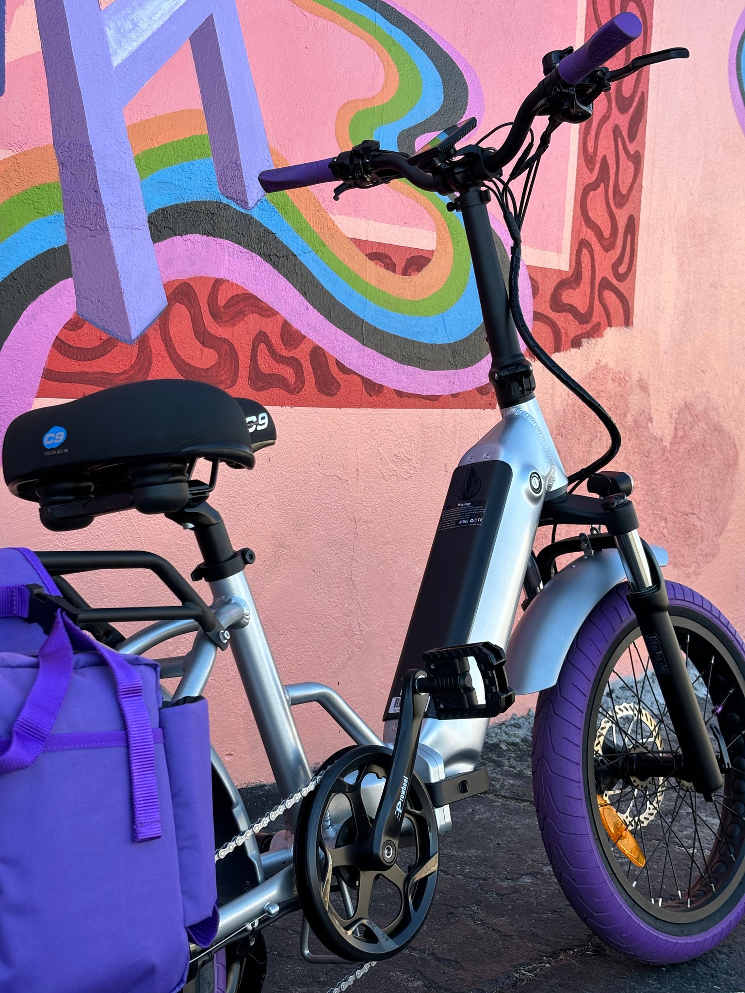 Custom Purple Rain 750 w Electric Folding eBike 20x3 Fat tire electric ...